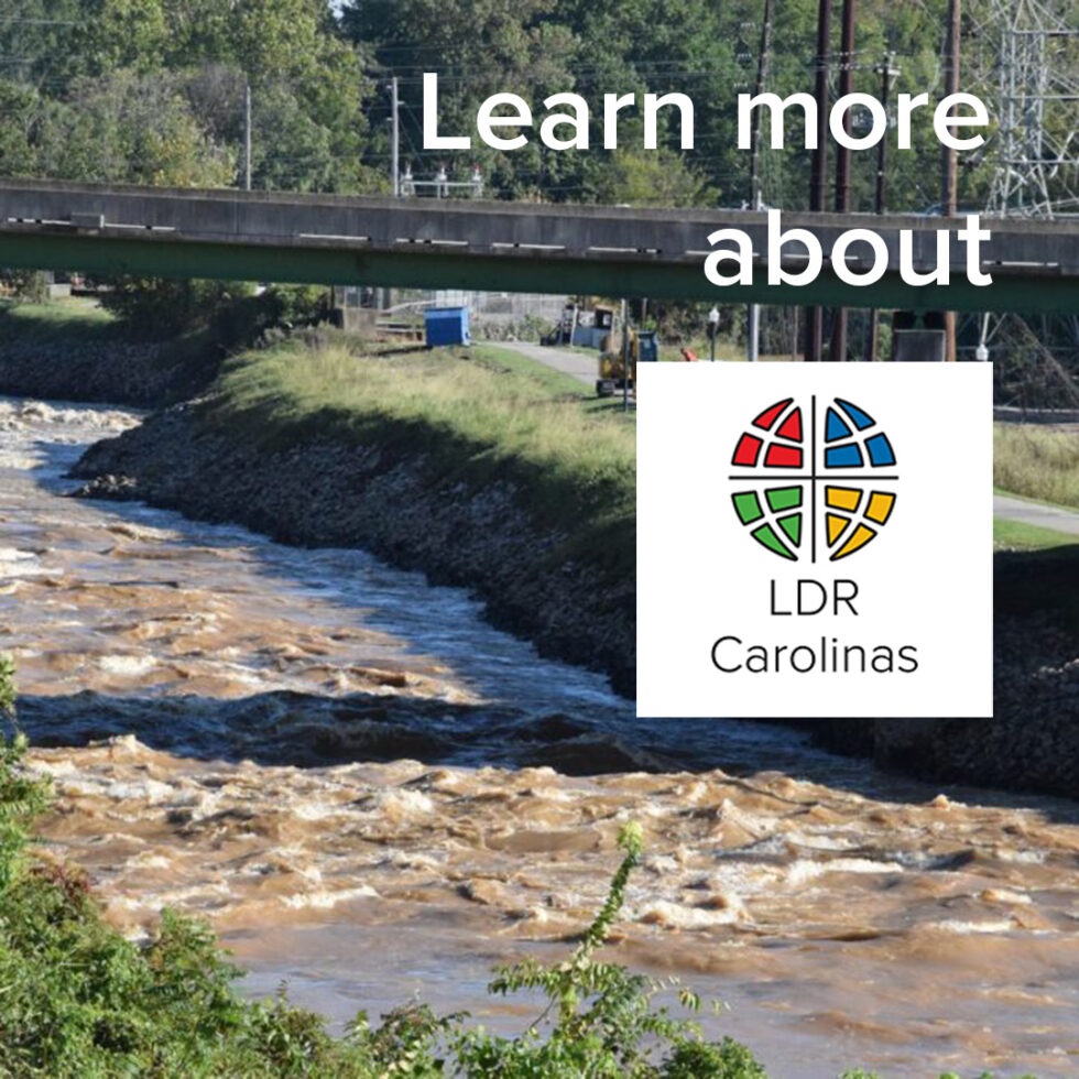 Celebrating Women Pastors | ELCA South Carolina Synod